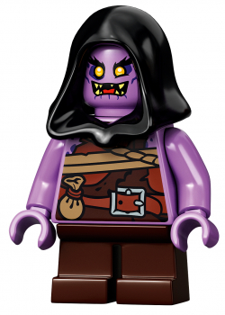 brickina.com - LEGO® Ninjago Figuren